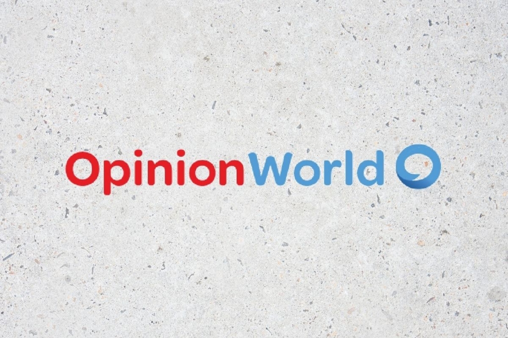 Octopus Group Surveys Review: Hands down winner!